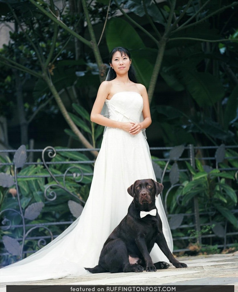 Labrador Serves in Wedding - Ruffington Post