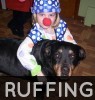 Rottweiler Lexus Dresses Up With Her Human - Ruffington Post